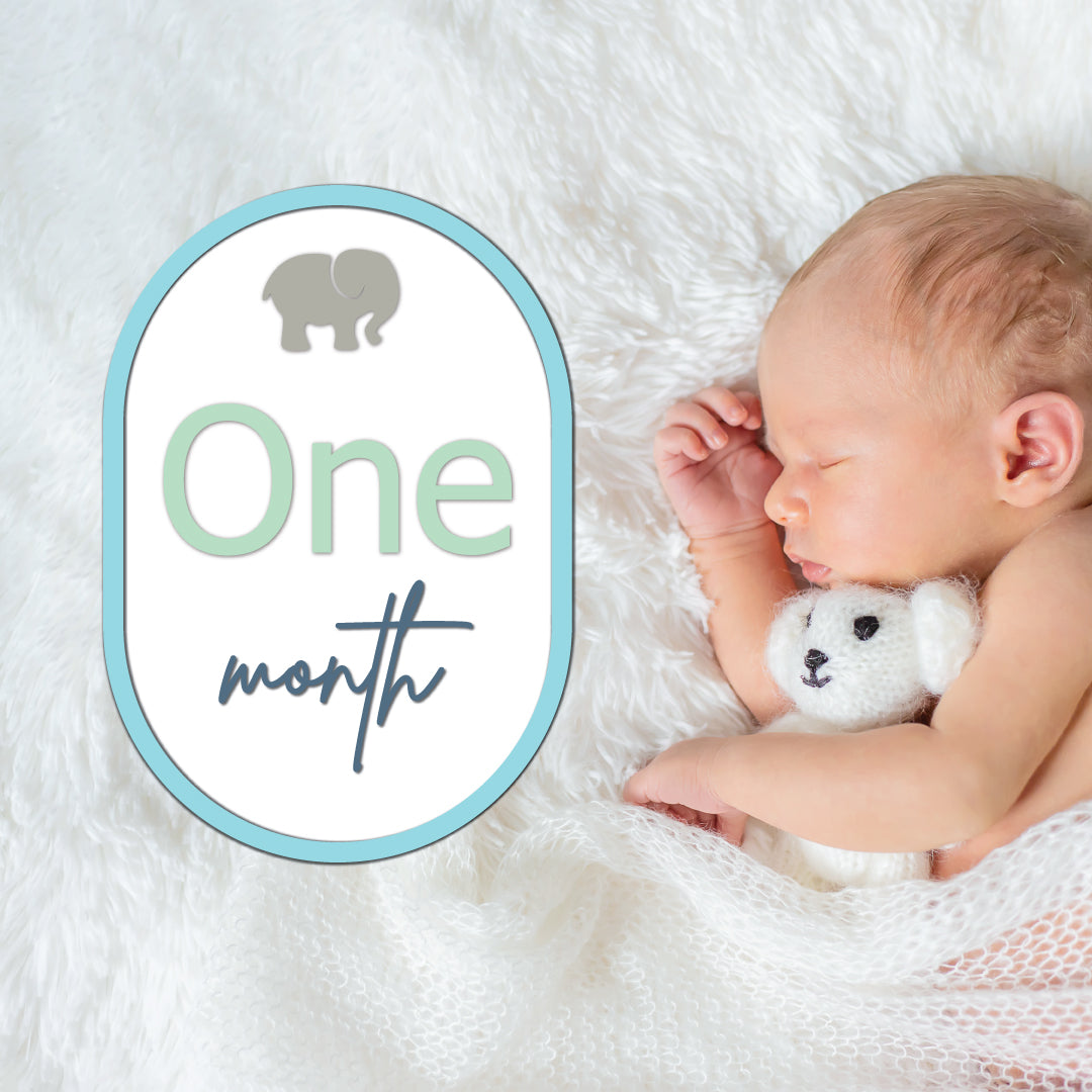 Oval • Outline Shape • A4 – Crafting Blanks Australia